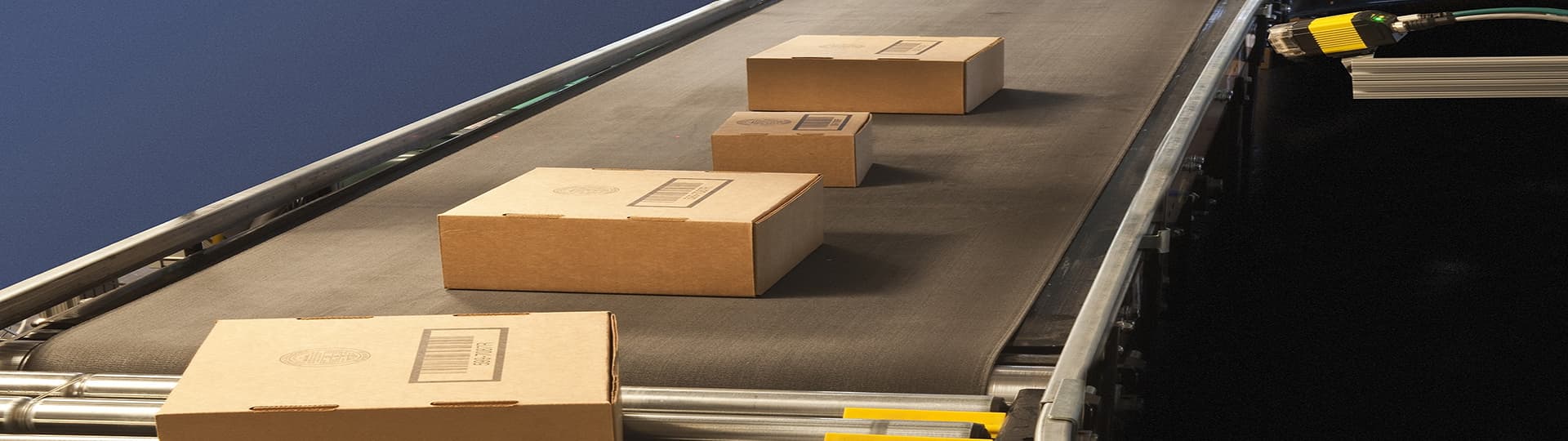 Scanning & Vision Systems | Conveyor Handling Company